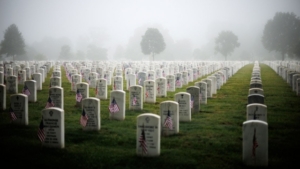 Victor Davis Hanson: The 1.2 Million Reasons America Exists Today - Dr ...